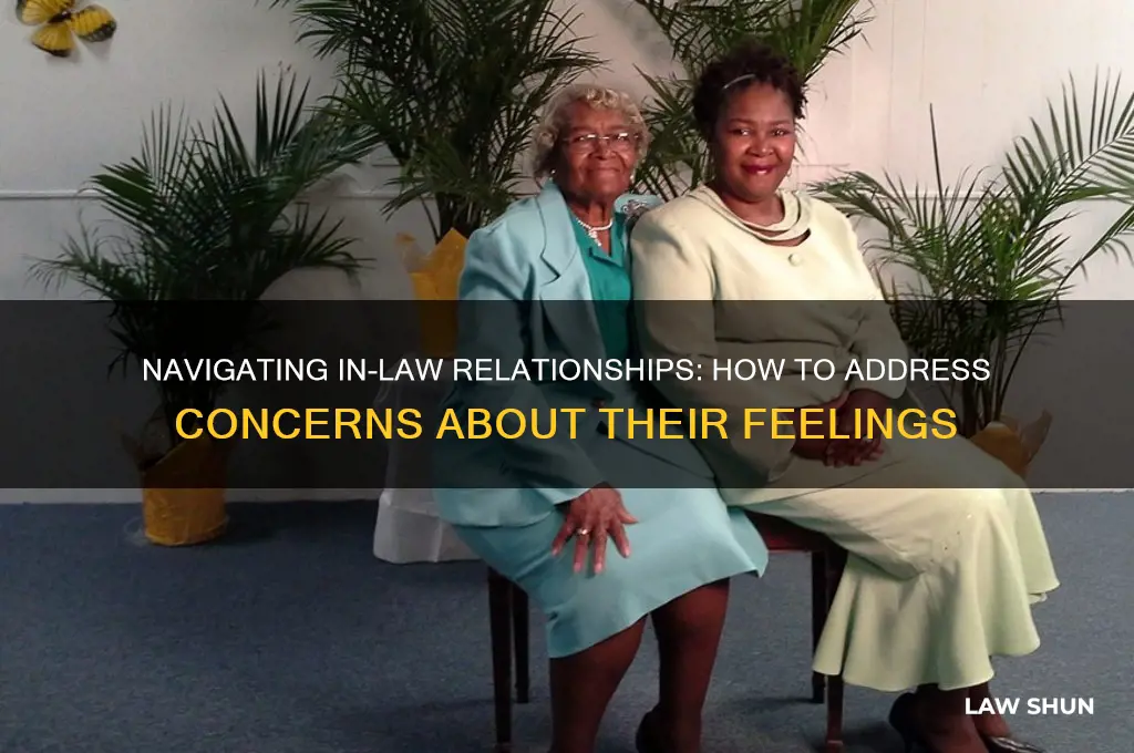 Navigating In-Law Relationships: How To Address Concerns About Their ...