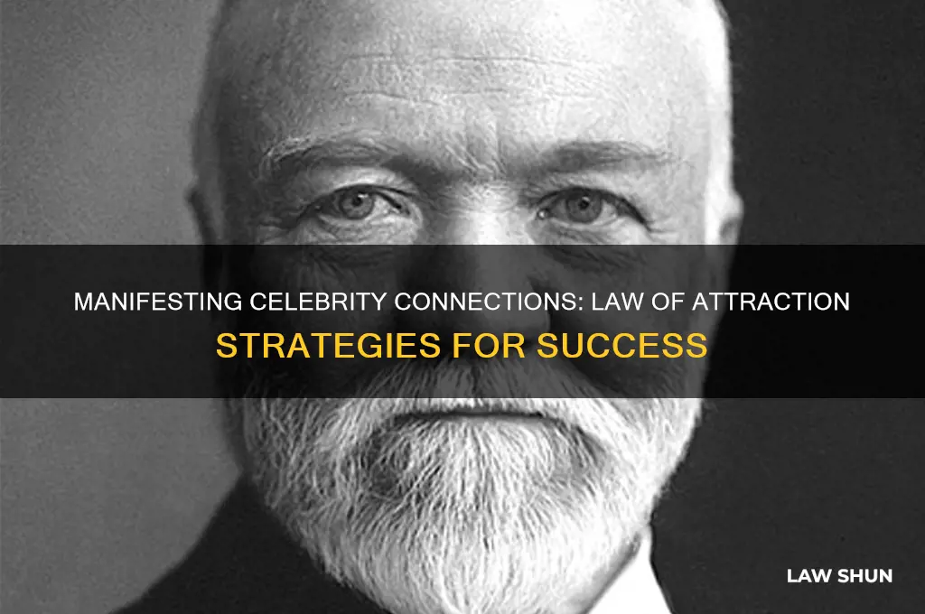 Manifesting Celebrity Connections: Law Of Attraction Strategies For ...