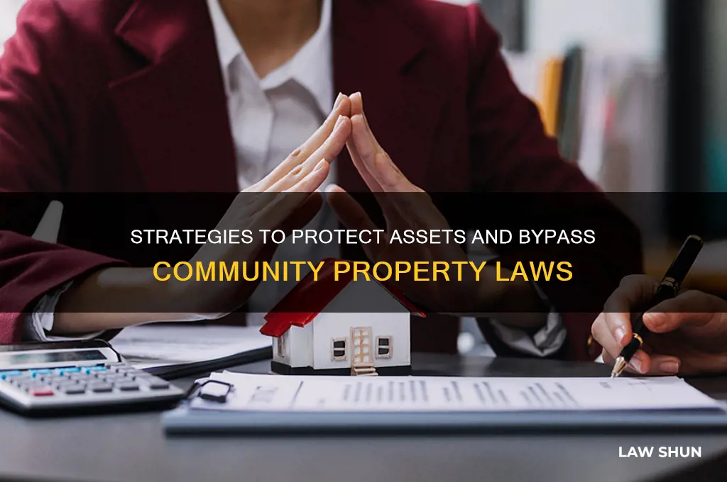 Strategies To Protect Assets And Bypass Community Property Laws | LawShun