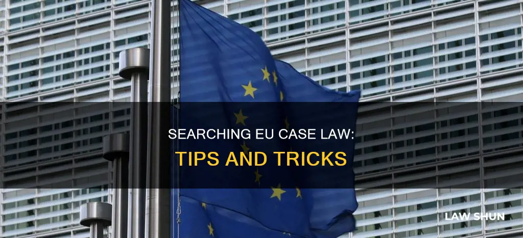 Searching Eu Case Law: Tips And Tricks | LawShun