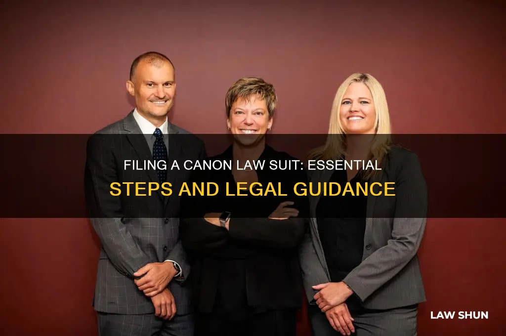 Filing A Canon Law Suit: Essential Steps And Legal Guidance | LawShun