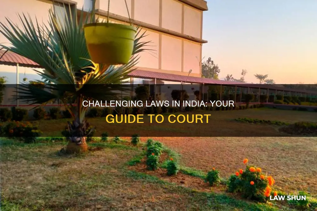 Challenging Laws In India: Your Guide To Court | LawShun