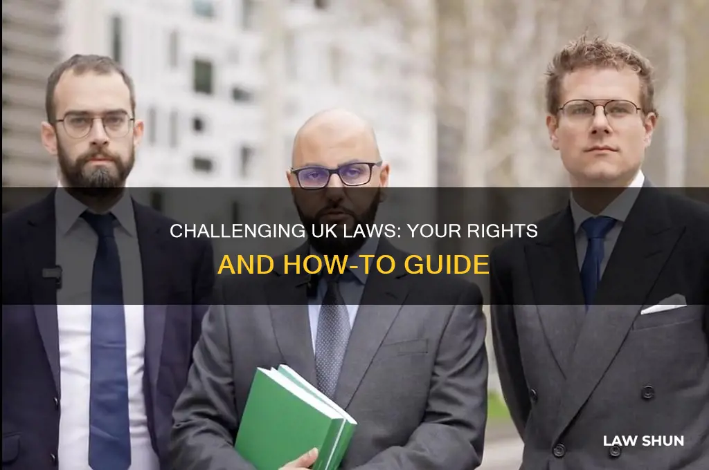 Challenging Uk Laws: Your Rights And How-To Guide | LawShun