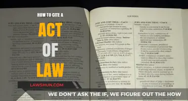 Mastering Law Review Citations: A Guide To Citing Legal Briefs | LawShun