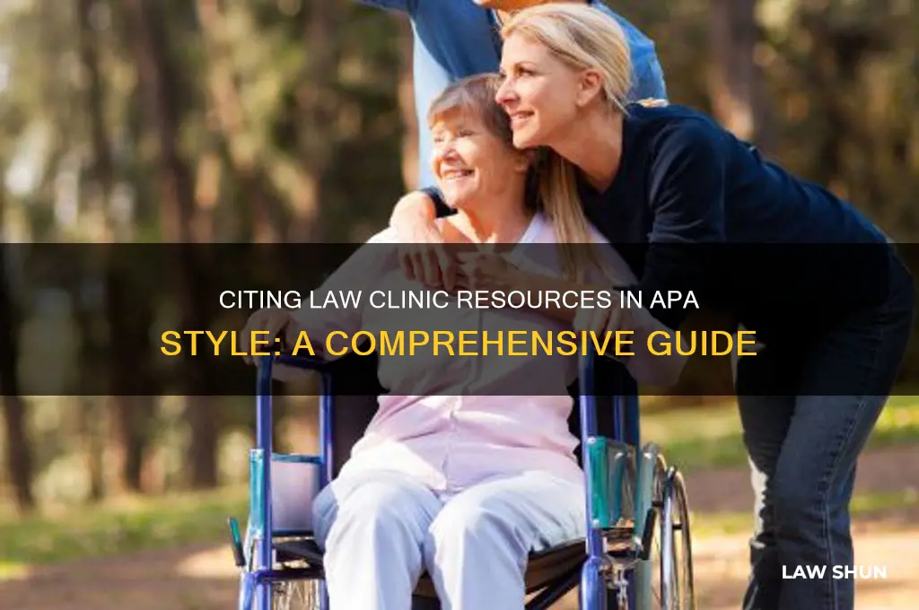 Citing Law Clinic Resources In Apa Style: A Comprehensive Guide | LawShun