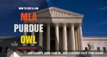 Mastering Legal Citations: How To Properly Cite A Law Owl | LawShun