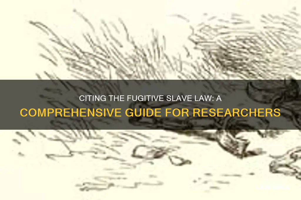 Citing The Fugitive Slave Law: A Comprehensive Guide For Researchers ...