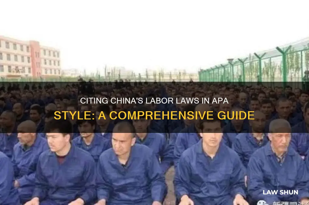 Citing China's Labor Laws In Apa Style: A Comprehensive Guide | LawShun