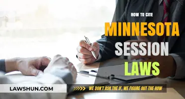 Mastering Legal Citations: A Guide To Citing Municipal Laws | LawShun