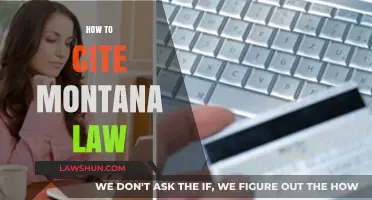 Mastering Michigan Compiled Laws Citations: A Comprehensive Guide For ...
