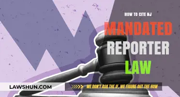 Mastering Legal Citations: A Guide To Citing Municipal Laws | LawShun