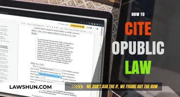 Mastering Legal Citations: A Guide To Citing South Carolina Law | LawShun