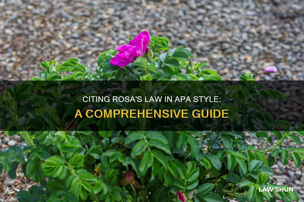 Citing Rosa's Law In Apa Style: A Comprehensive Guide | LawShun