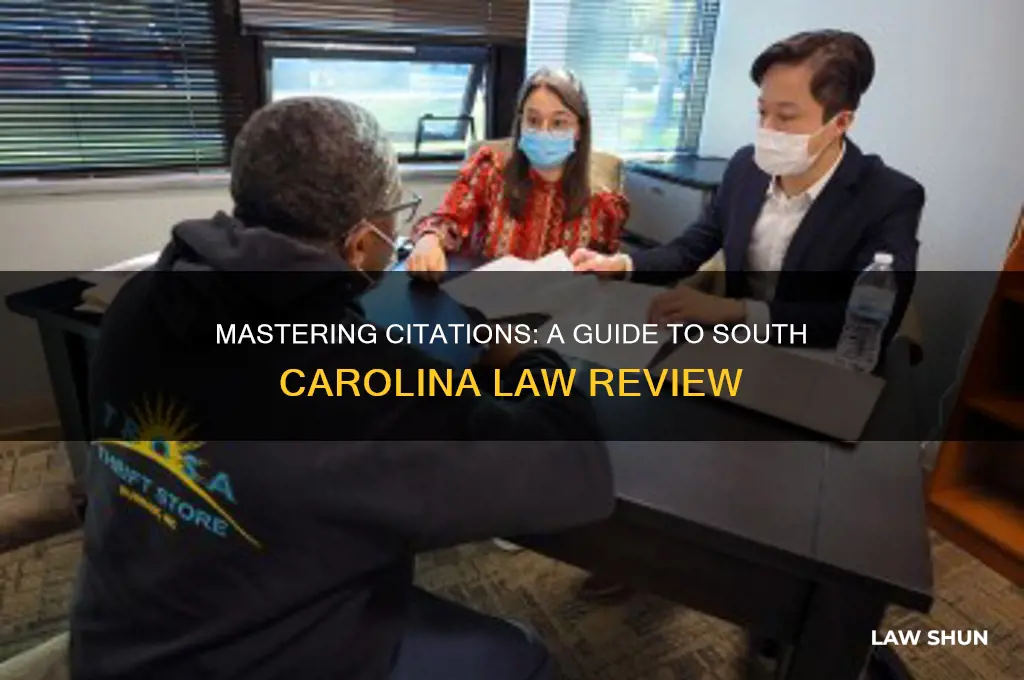 Mastering Citations: A Guide To South Carolina Law Review | LawShun