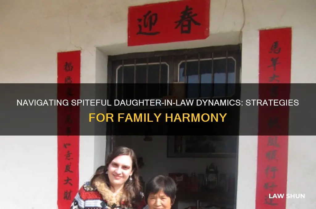 Navigating Spiteful Daughter-In-Law Dynamics: Strategies For Family ...
