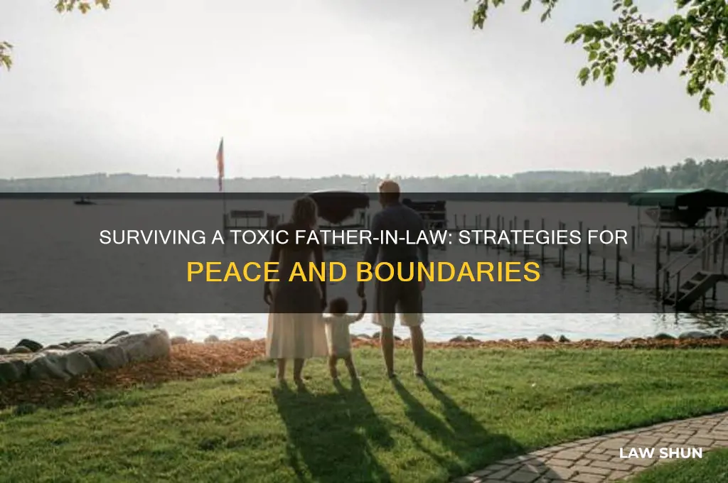 Surviving A Toxic Father-In-Law: Strategies For Peace And Boundaries ...