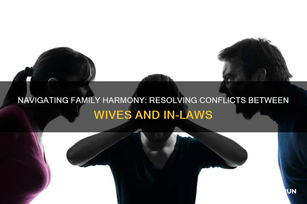 Navigating Family Harmony: Resolving Conflicts Between Wives And In ...