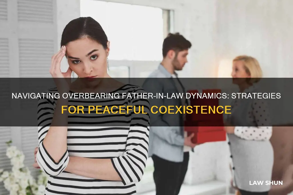 Navigating Overbearing Father-In-Law Dynamics: Strategies For Peaceful ...