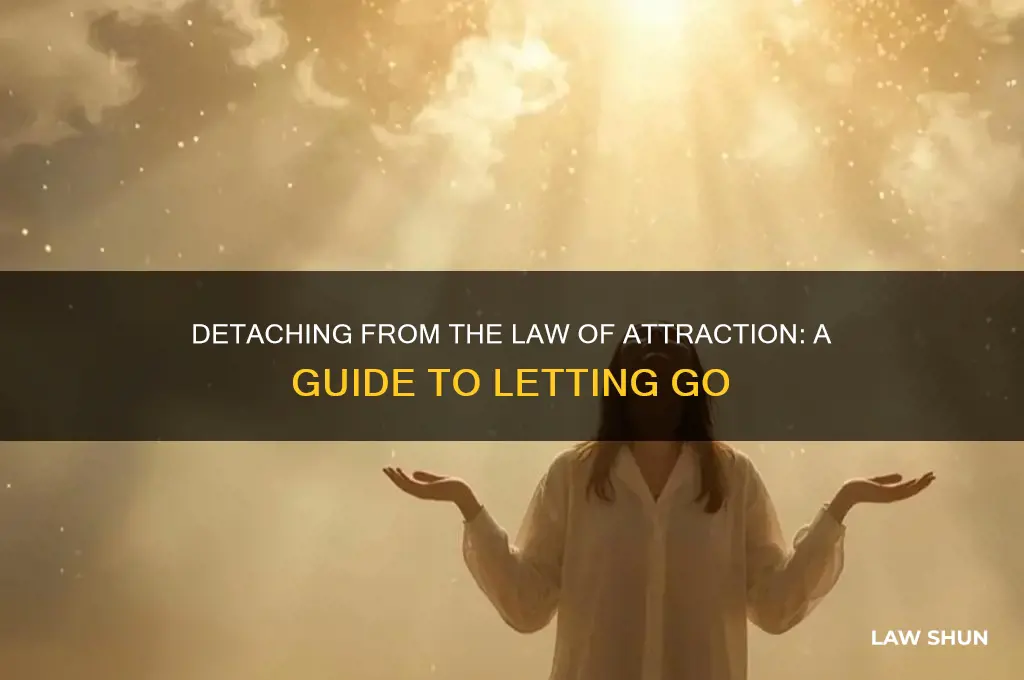 Detaching From The Law Of Attraction: A Guide To Letting Go | LawShun