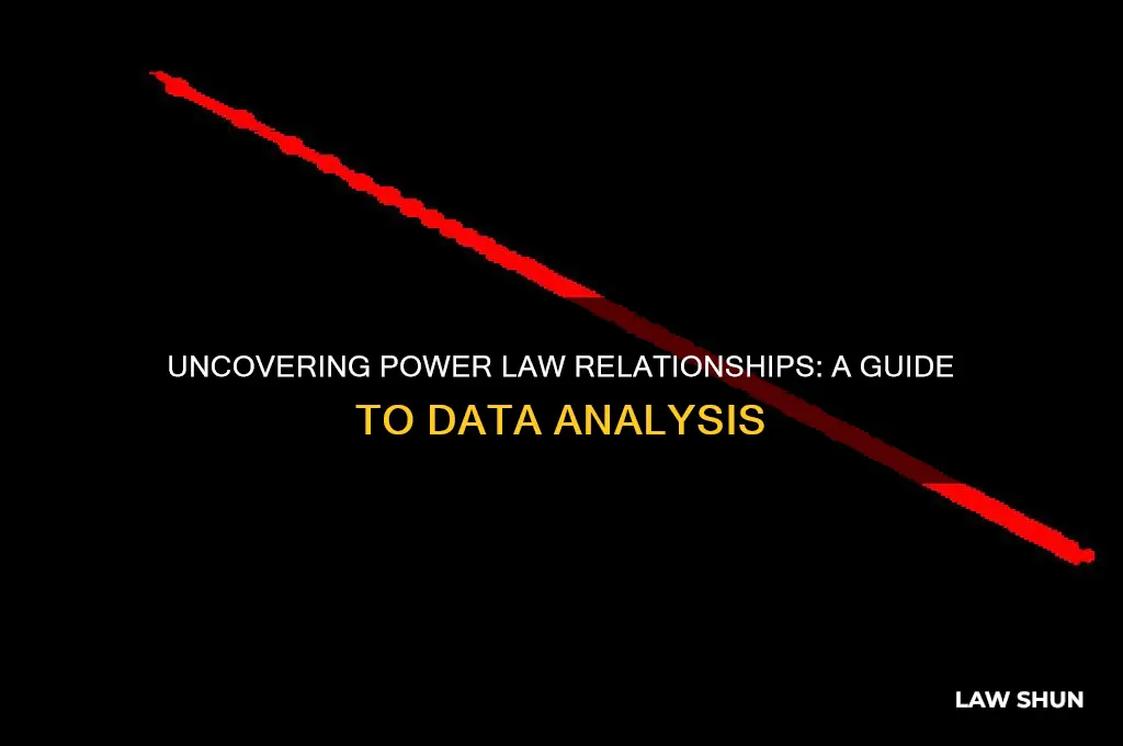 Uncovering Power Law Relationships: A Guide To Data Analysis | LawShun