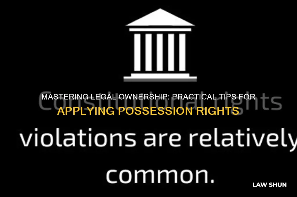 Mastering Legal Ownership: Practical Tips For Applying Possession ...
