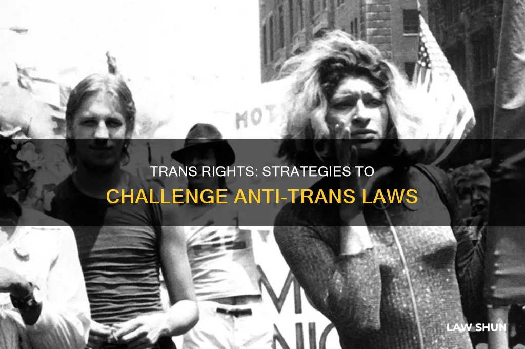 Trans Rights: Strategies To Challenge Anti-Trans Laws | LawShun