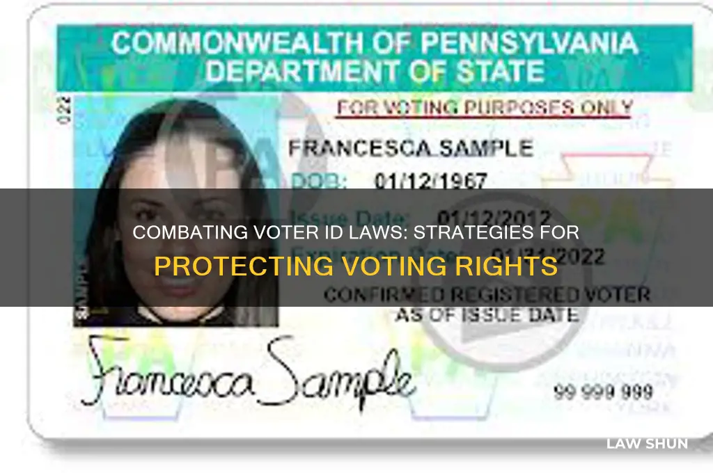 Combating Voter Id Laws: Strategies For Protecting Voting Rights | LawShun