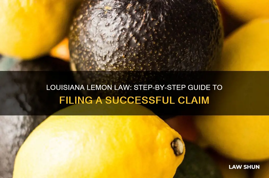 Louisiana Lemon Law: Step-By-Step Guide To Filing A Successful Claim ...