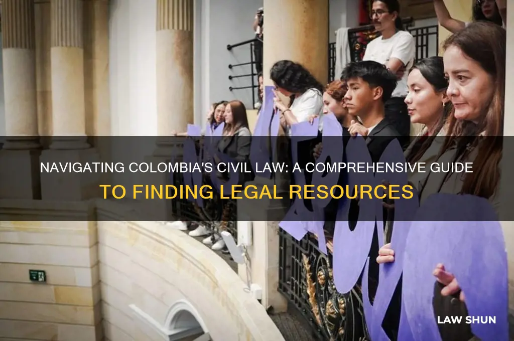 Navigating Colombia's Civil Law: A Comprehensive Guide To Finding Legal ...