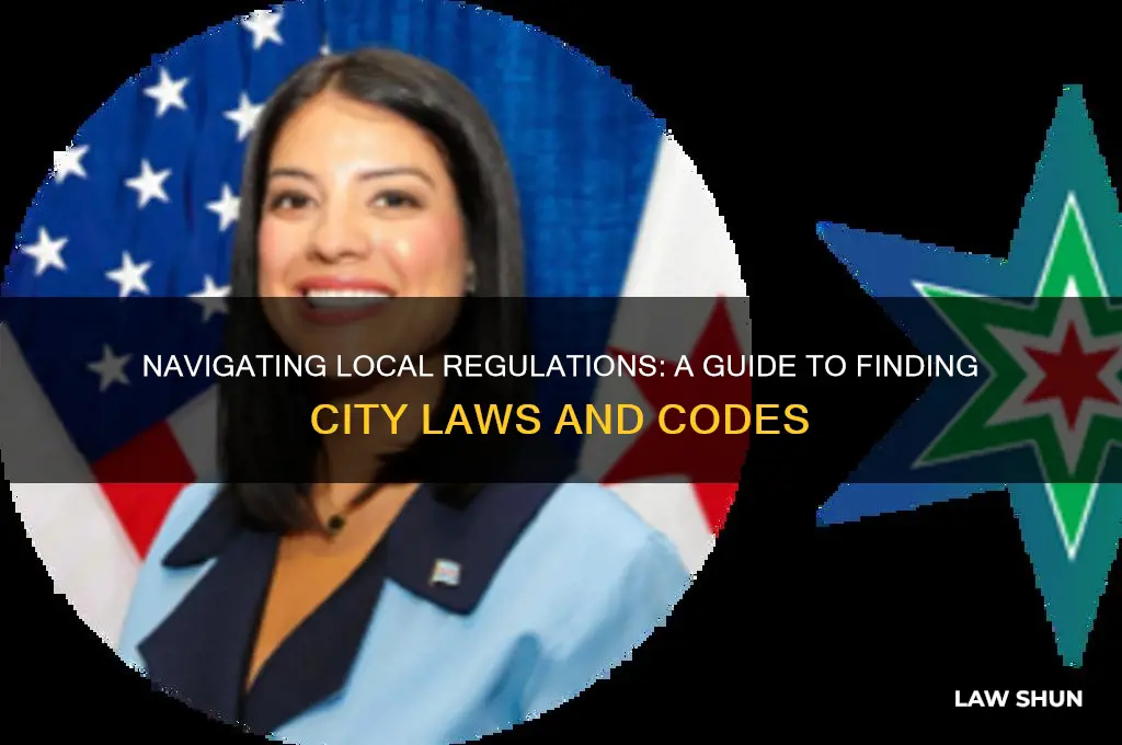 Navigating Local Regulations: A Guide To Finding City Laws And Codes ...