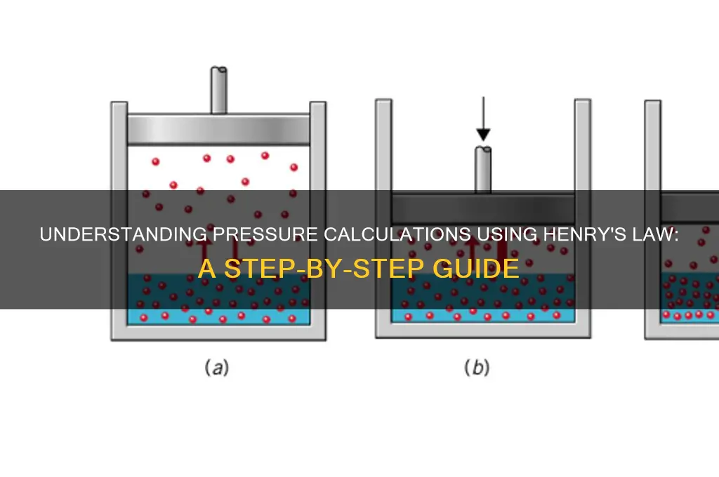 Understanding Pressure Calculations Using Henry's Law: A Step-By-Step ...