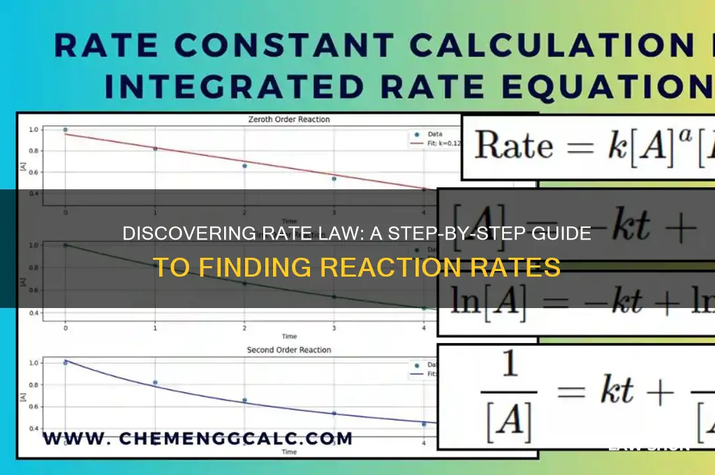 Discovering Rate Law: A Step-By-Step Guide To Finding Reaction Rates ...