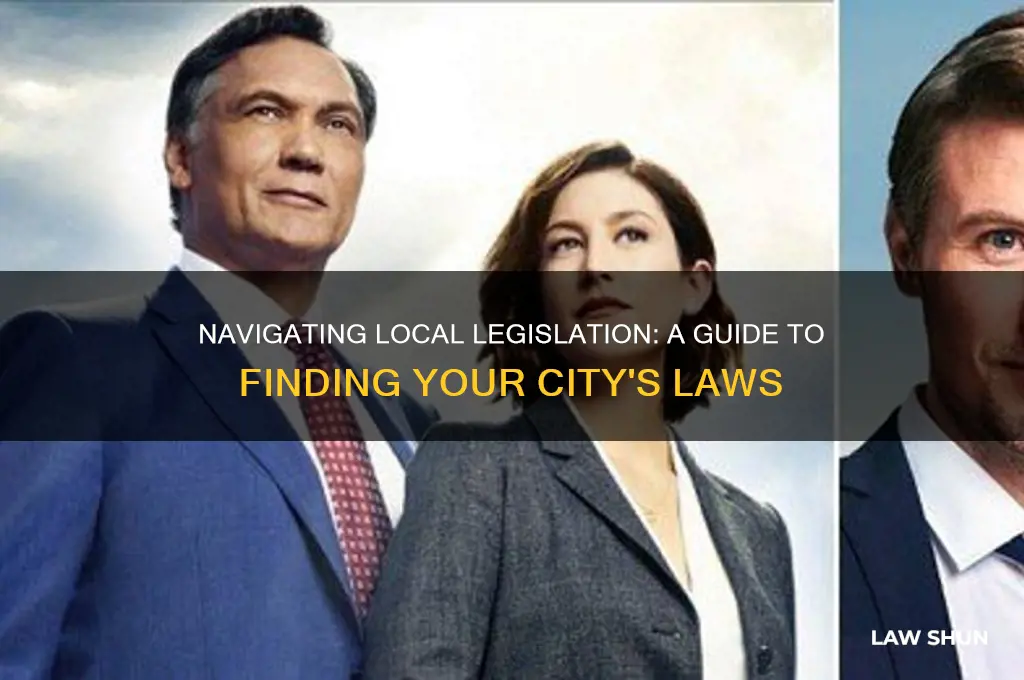 Navigating Local Legislation: A Guide To Finding Your City's Laws | LawShun