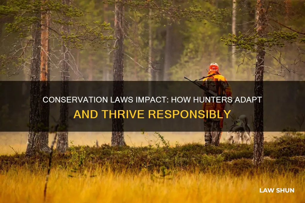 Conservation Laws Impact: How Hunters Adapt And Thrive Responsibly ...