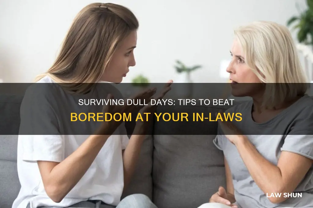 Surviving Dull Days: Tips To Beat Boredom At Your In-Laws | LawShun