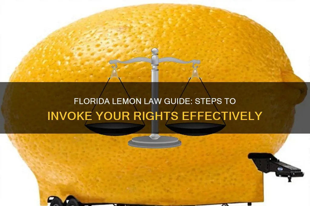Florida Lemon Law Guide: Steps To Invoke Your Rights Effectively | LawShun