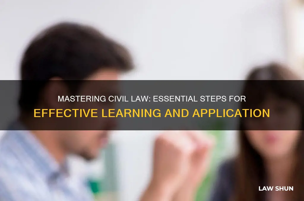 Mastering Civil Law: Essential Steps For Effective Learning And ...