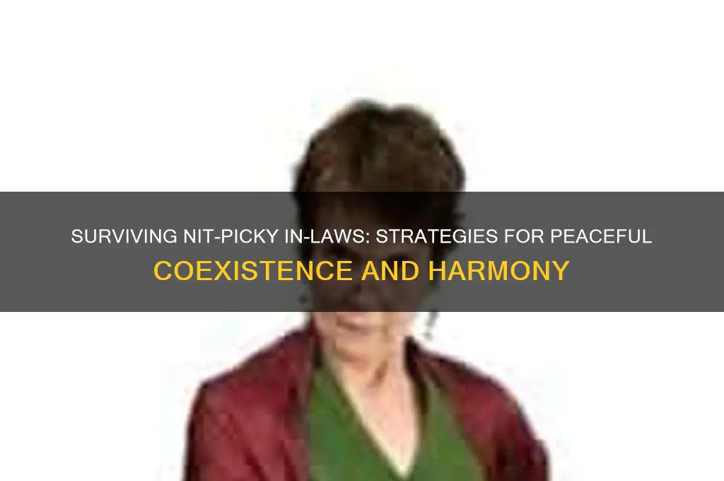 Surviving Nit-Picky In-Laws: Strategies For Peaceful Coexistence And ...