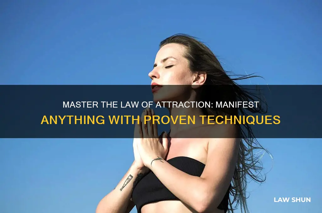 Master The Law Of Attraction: Manifest Anything With Proven Techniques ...