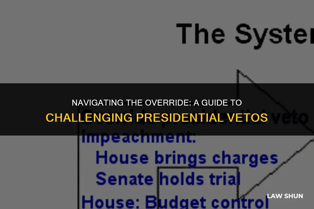 Navigating The Override: A Guide To Challenging Presidential Vetos ...