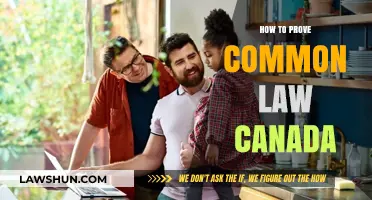 Understanding Canadian Case Law: A Beginner's Guide | LawShun