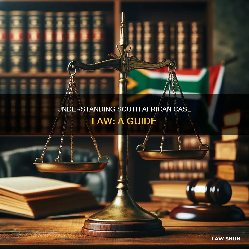 Understanding South African Case Law: A Guide | LawShun