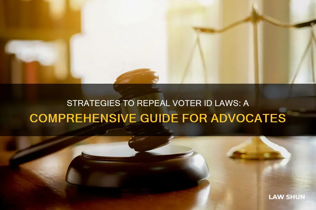 Strategies To Repeal Voter Id Laws: A Comprehensive Guide For Advocates ...