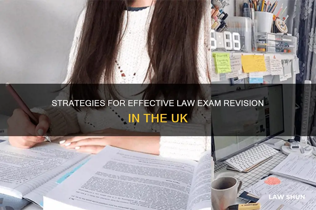 Strategies For Effective Law Exam Revision In The Uk | LawShun