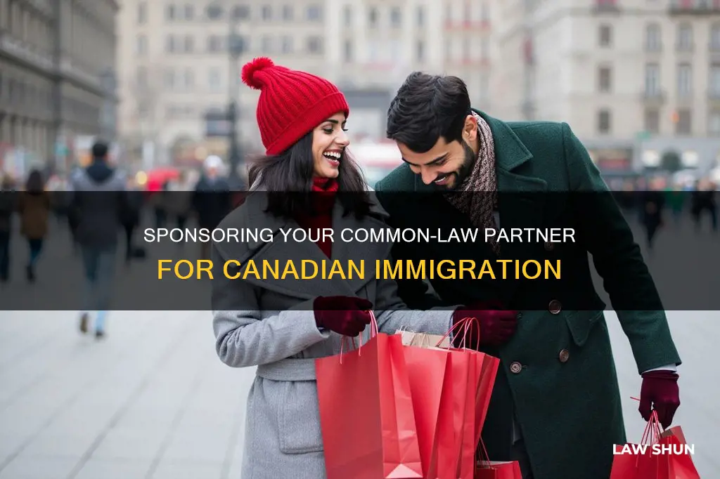 Sponsoring Your Common-Law Partner For Canadian Immigration | LawShun