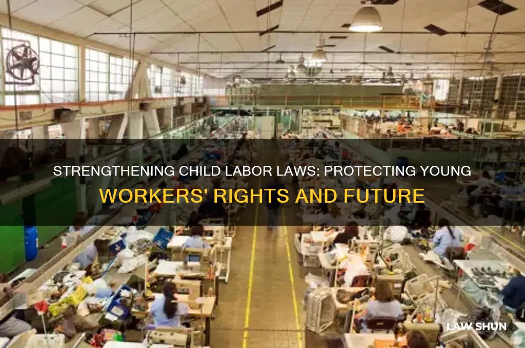 Strengthening Child Labor Laws: Protecting Young Workers' Rights And ...