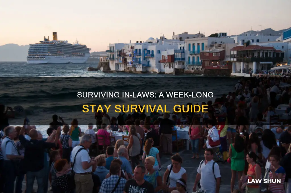 Surviving In-Laws: A Week-Long Stay Survival Guide | LawShun