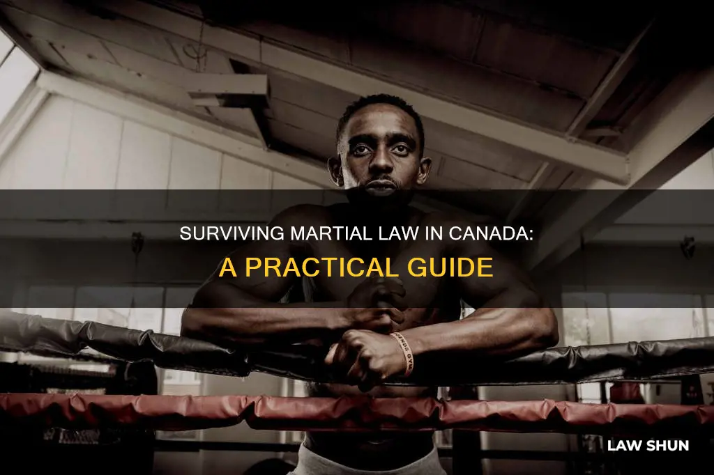 Surviving Martial Law In Canada: A Practical Guide | LawShun