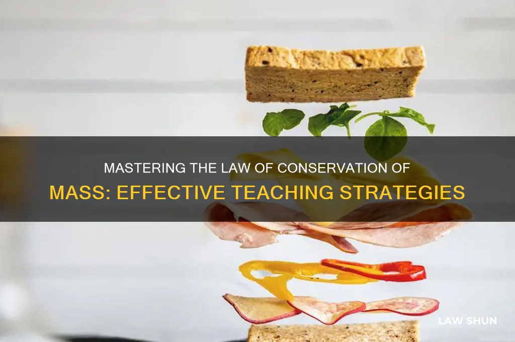 Mastering The Law Of Conservation Of Mass: Effective Teaching ...