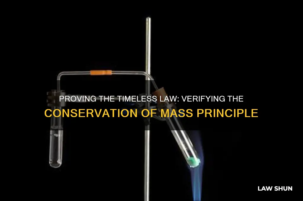 Proving The Timeless Law: Verifying The Conservation Of Mass Principle ...